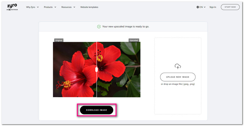 How to Upscale Images for Improved Quality & Better Display